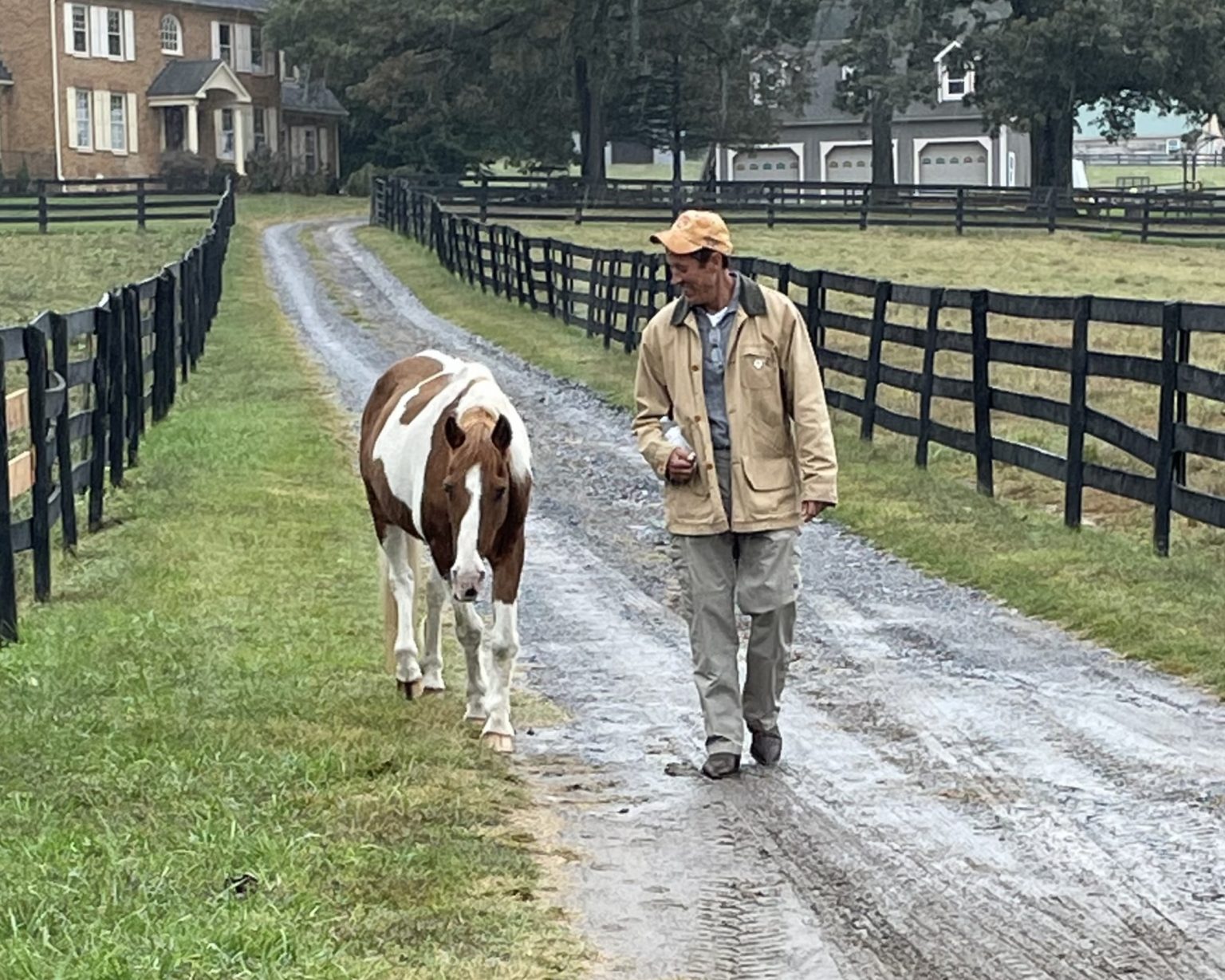 Global Federation of Animal Sanctuaries (GFAS)