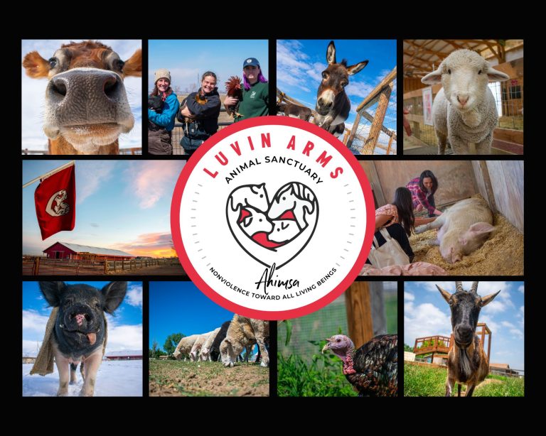 Global Federation of Animal Sanctuaries (GFAS)