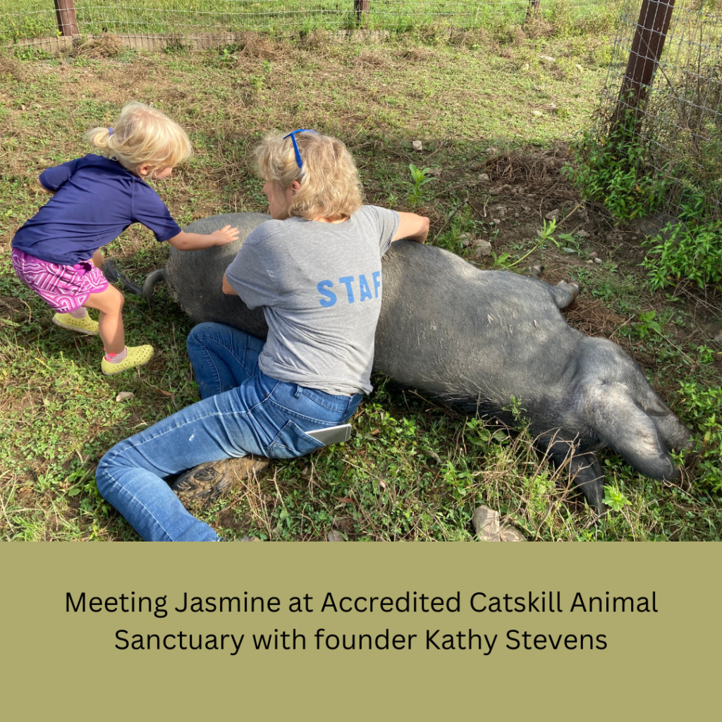 October 2023 - Global Federation of Animal Sanctuaries