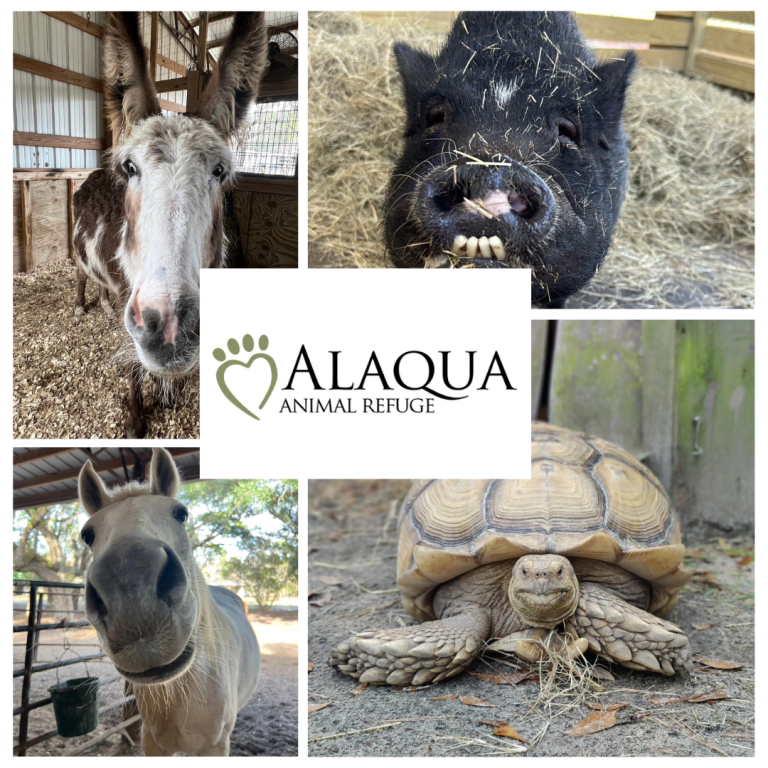 Find a Wildlife or Animal Sanctuary - GFAS