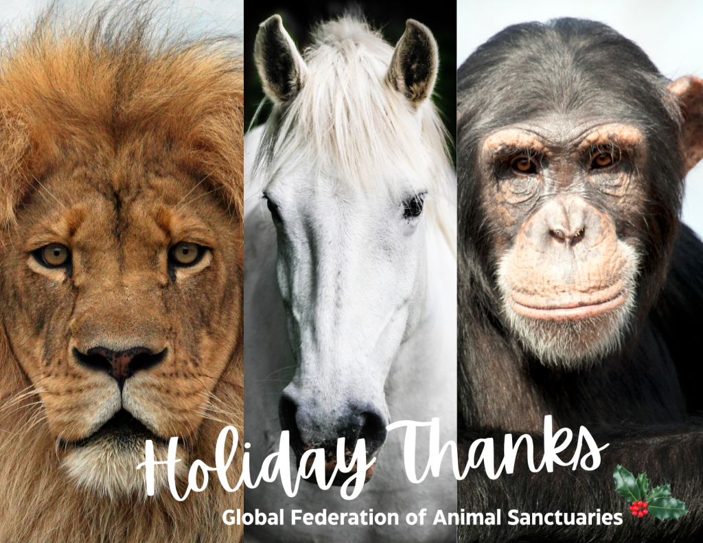 December 2024 - Global Federation of Animal Sanctuaries